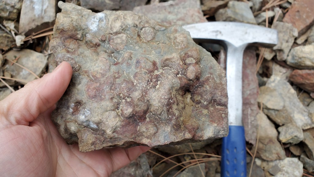 The Addy Roadcut - Currently Rockhounding