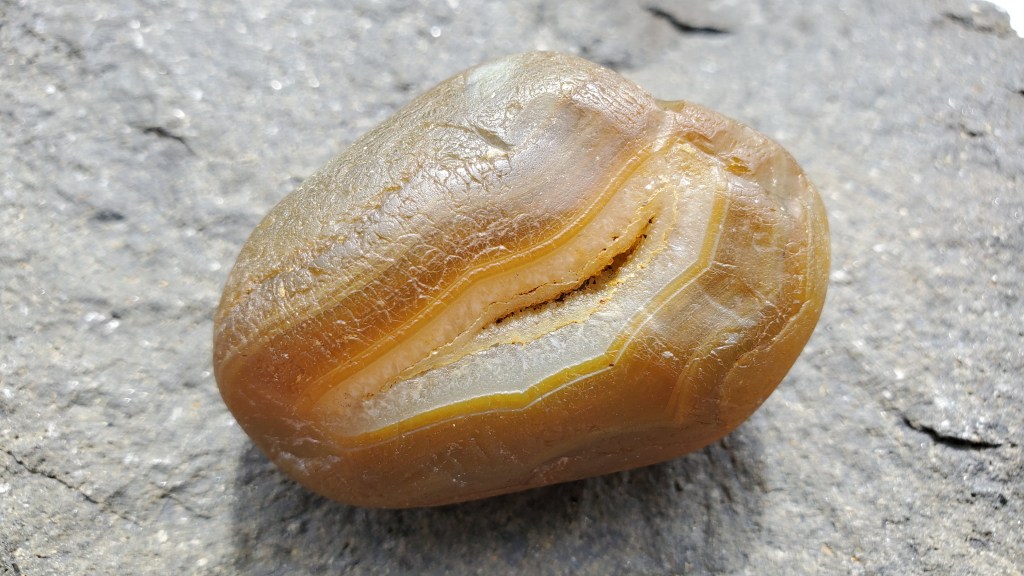 Tri-Cities Agate Hunting - Currently Rockhounding