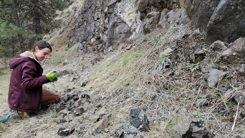 The Devils Backbone - Currently Rockhounding