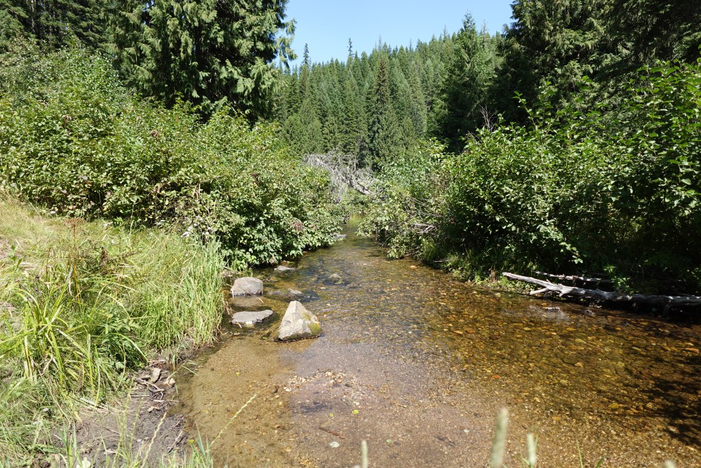 Emerald Creek - Currently Rockhounding