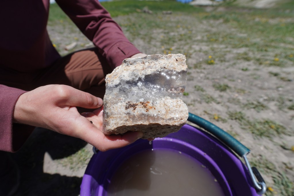 The Twisted Forest Trailhead - Currently Rockhounding