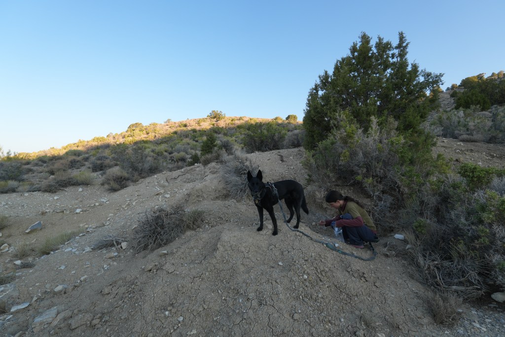 Conger Springs - Currently Rockhounding